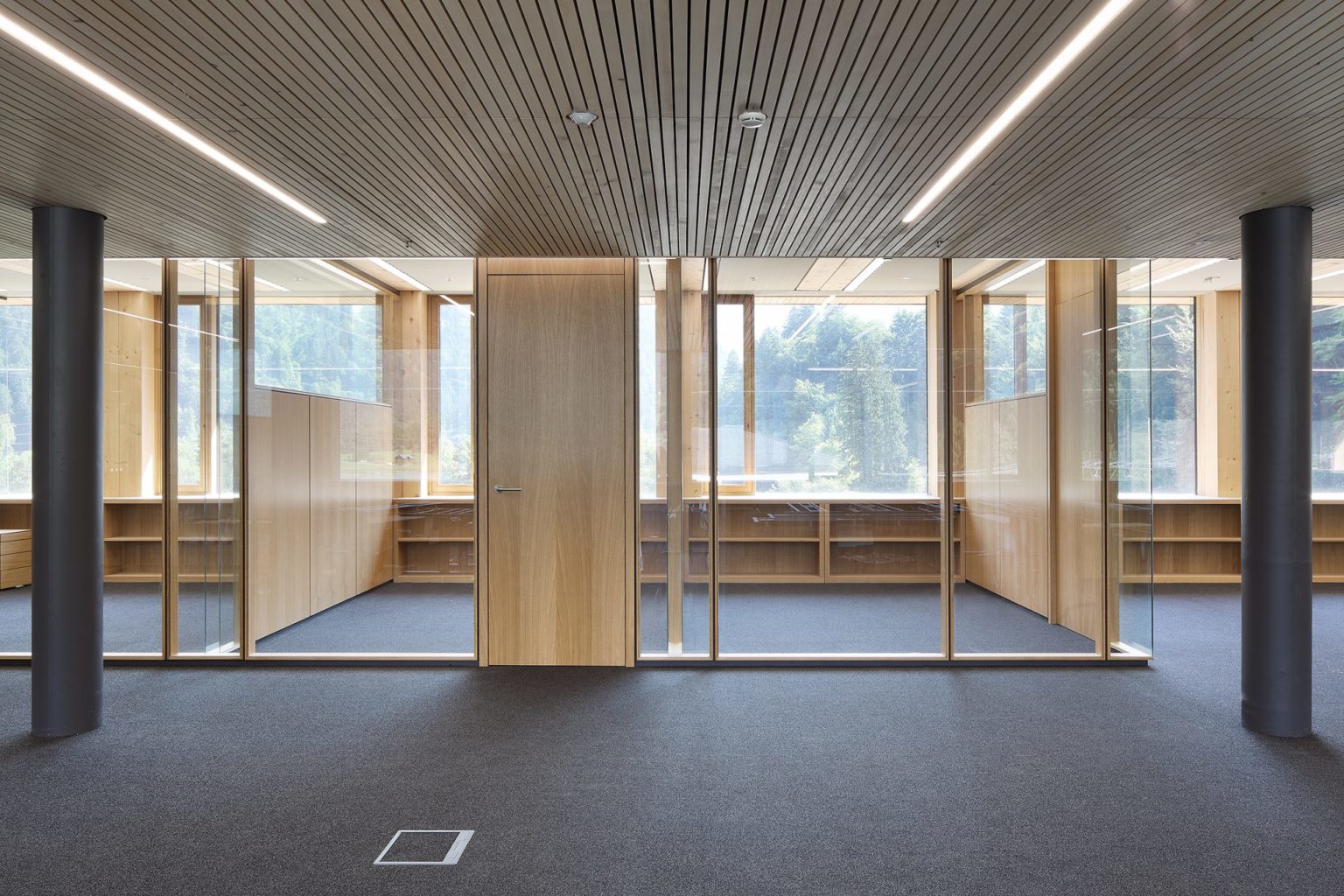 Anyline Wien - Scheicher