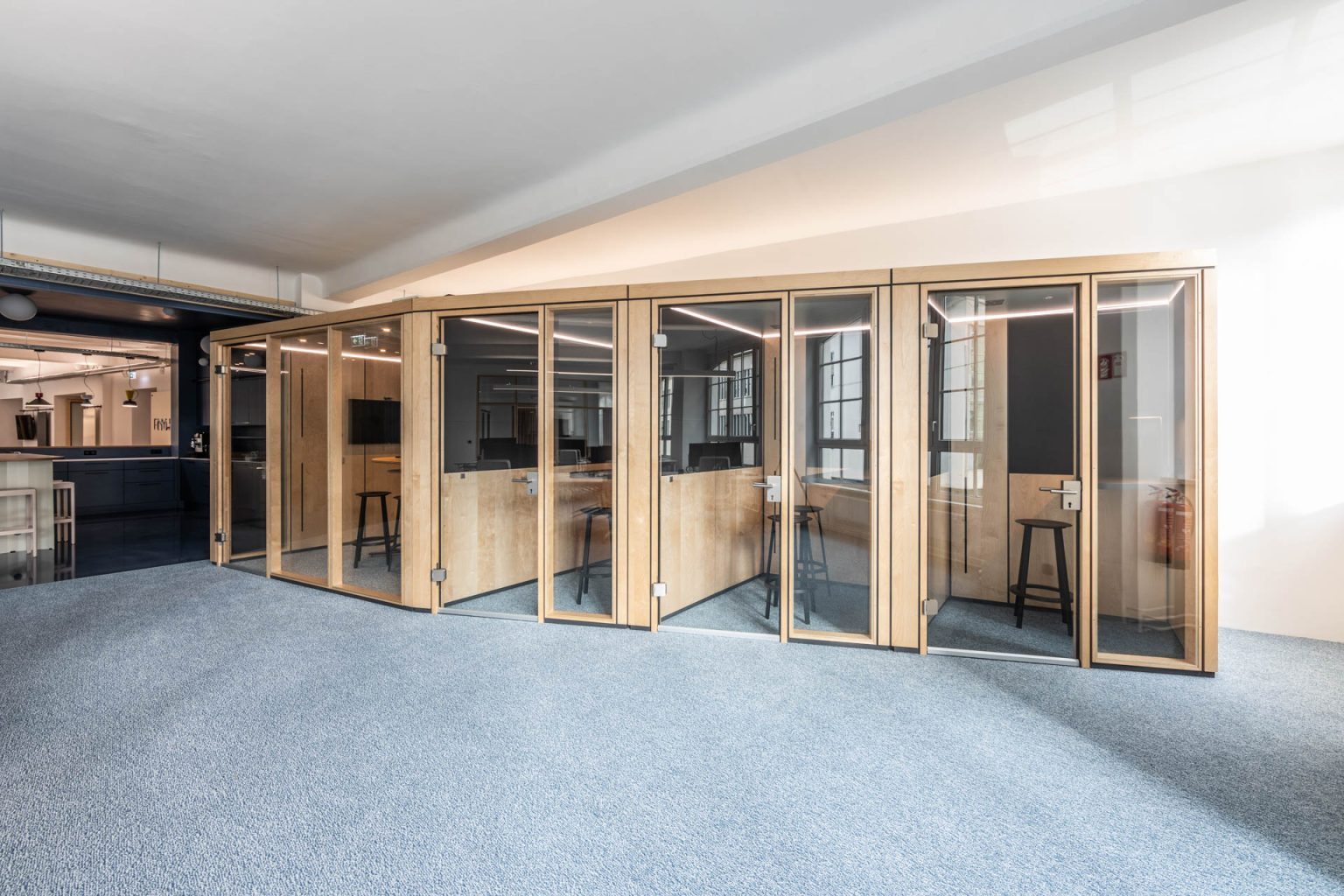 Raum-im-Raum-Lösungen - Scheicher