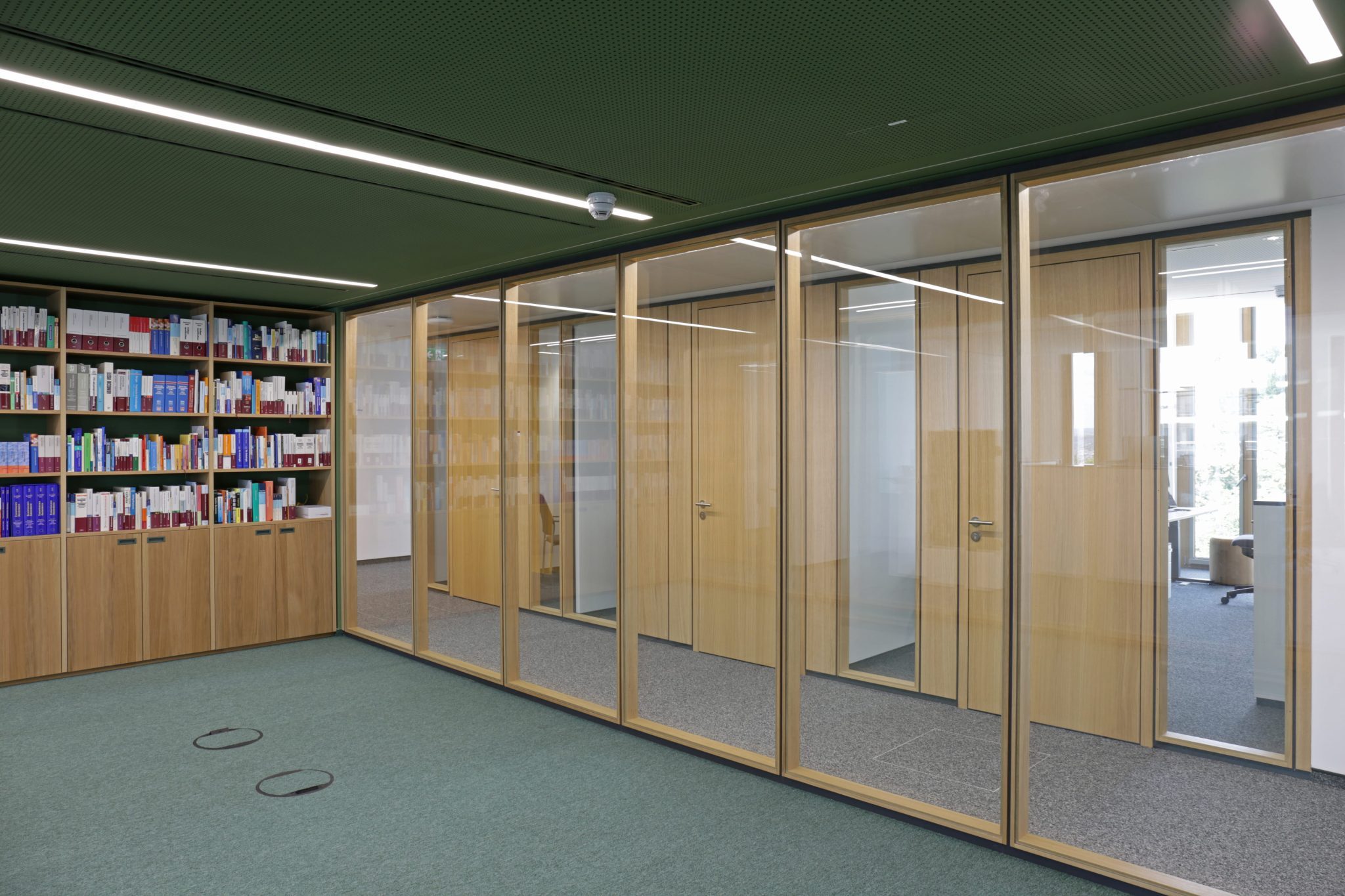 Anyline Wien - Scheicher